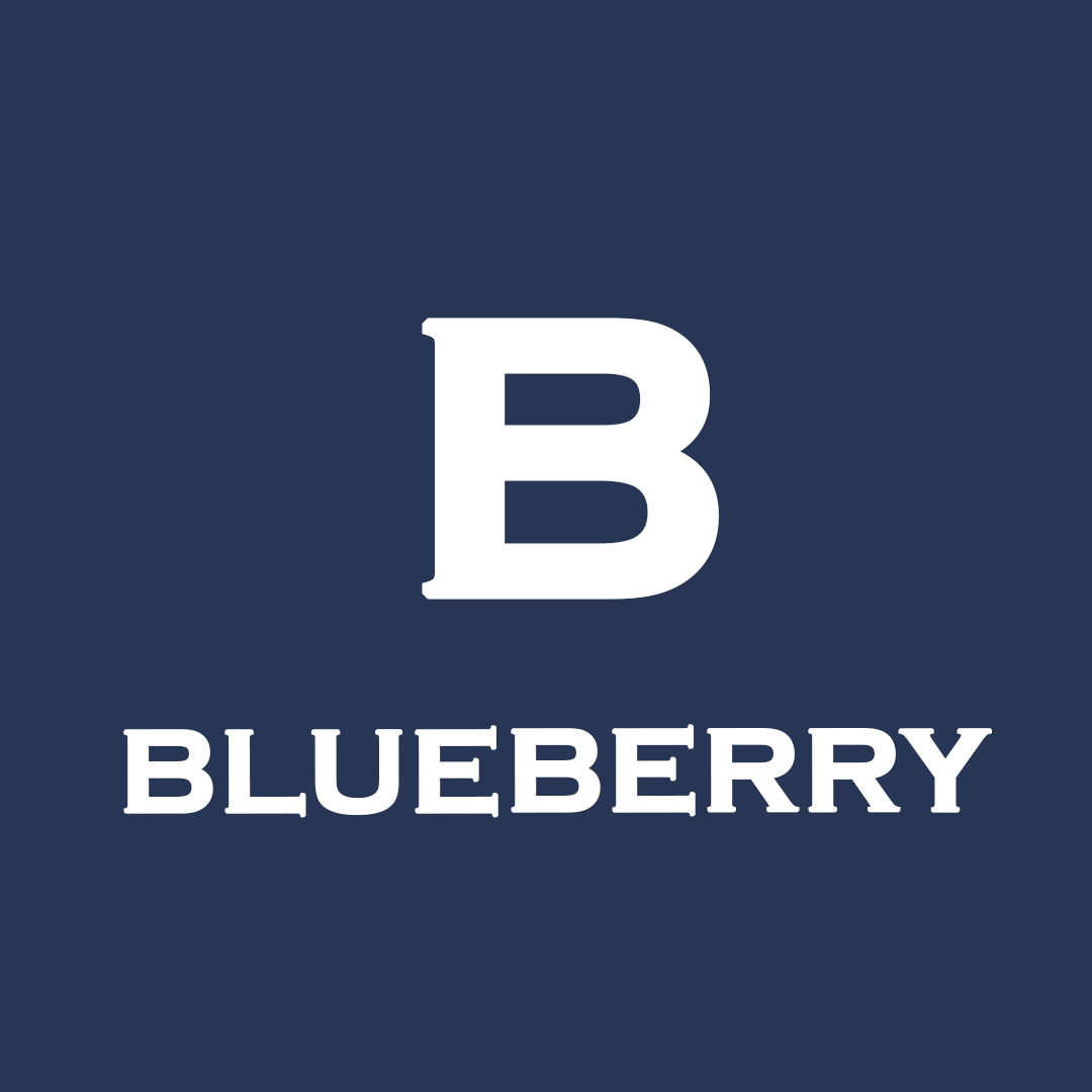 بلوبيري - blueberry-comfort.com